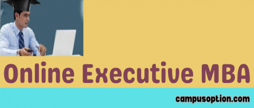 Online Executive MBA